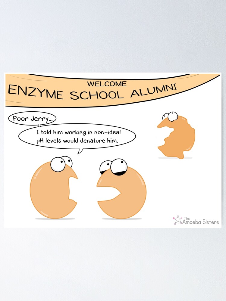 "Enzyme Gossip" Poster for Sale by amoebasisters | Redbubble