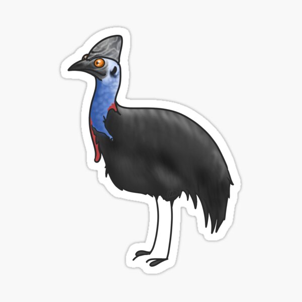 "Cassowary" Sticker for Sale by wcdesigns | Redbubble
