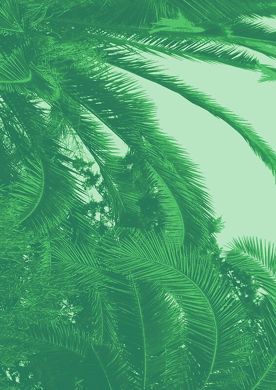 "Palm Haze " by Dist0rt | Redbubble