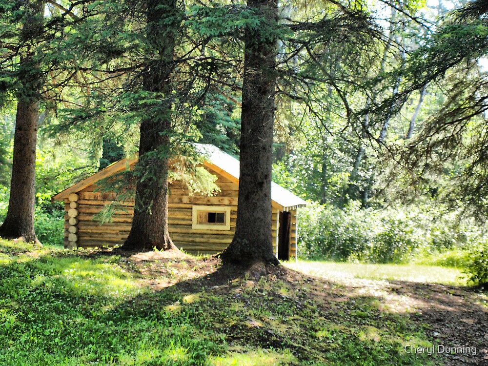 "hidden view" by Cheryl Dunning | Redbubble