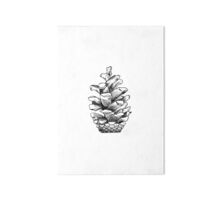 "Pinecone - Original pine tree drawing in Pen and Ink - Nature art ...