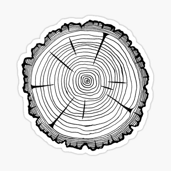 "Pine Wood Slice Original Pen and Ink Drawing - Pine tree log nature ...