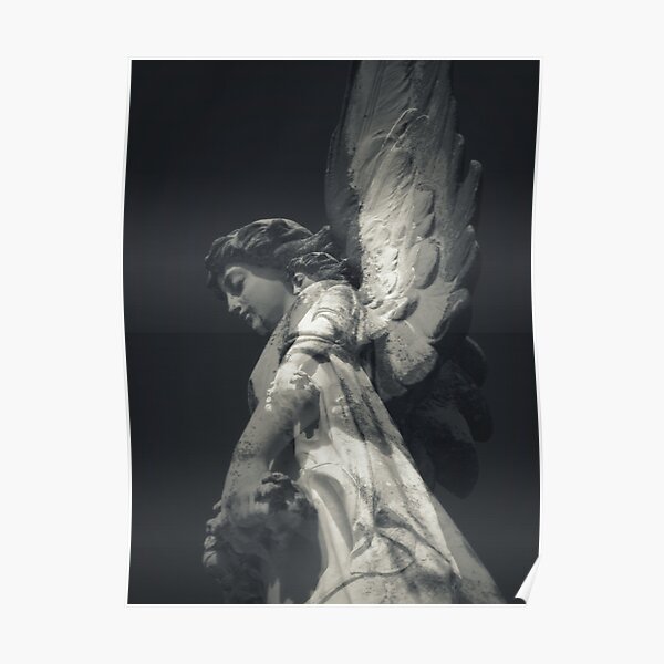 "Chrysalis" Poster by fuzzi | Redbubble