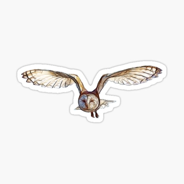 "OWL GLIDE TROUGH THE DARK TIMES" Sticker by rnarcio | Redbubble