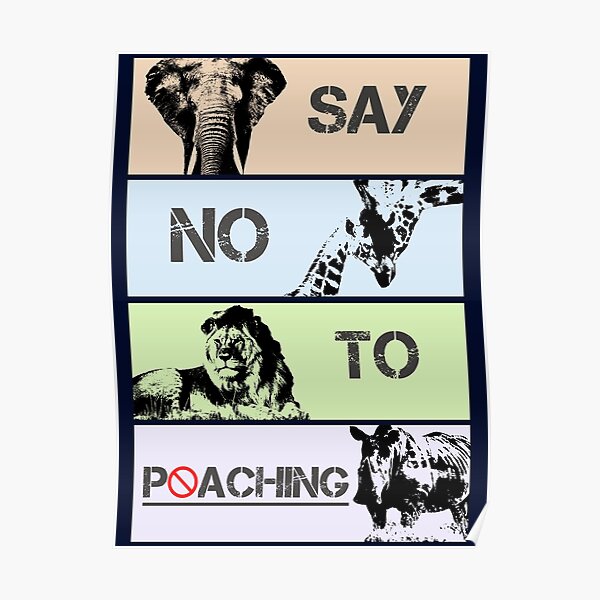 "No poaching" Poster for Sale by manuluce | Redbubble