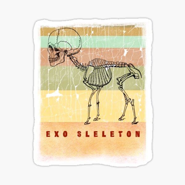 "Haunting Strange Skeletal Remains for Halloween or other Weirdness ...