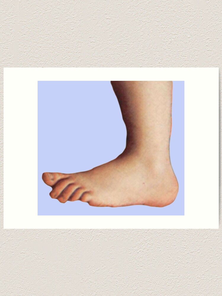 "Monty Python Foot" Art Print by Firewallmud | Redbubble