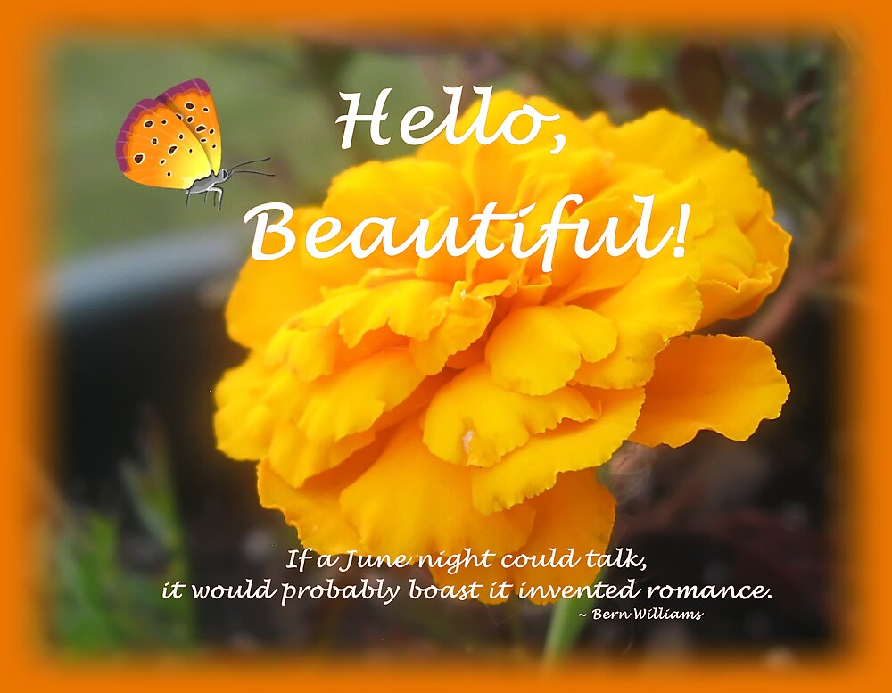 "Hello, Beautiful!" by Greeting Cards by Tracy DeVore | Redbubble
