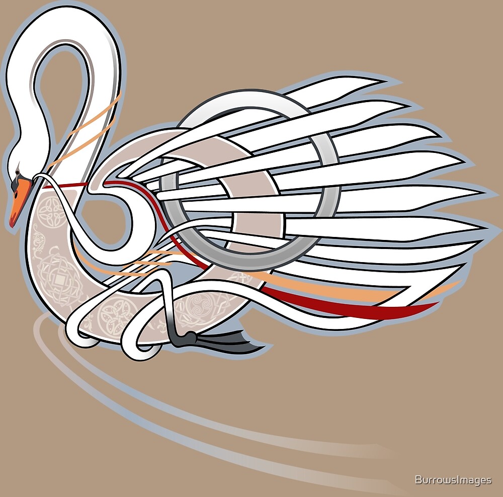 "Celtic Swan" by BurrowsImages | Redbubble
