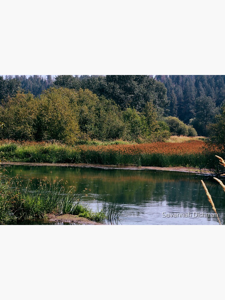 "Breath of Fresh Air" Sticker for Sale by savtot | Redbubble