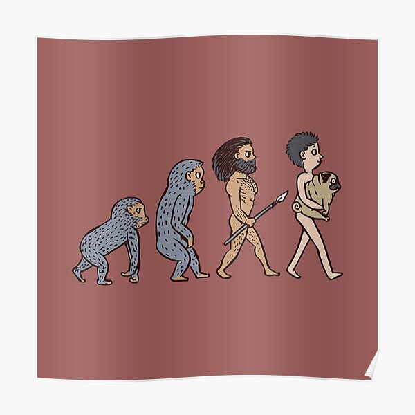 " The Evolution Of Man" Poster by Huebucket | Redbubble