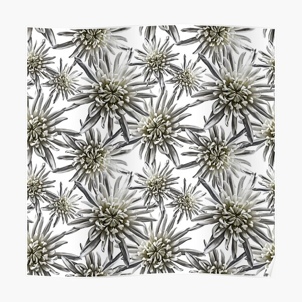 "Mum Floral Pattern - Mum's the word - Black and White Floral Design ...