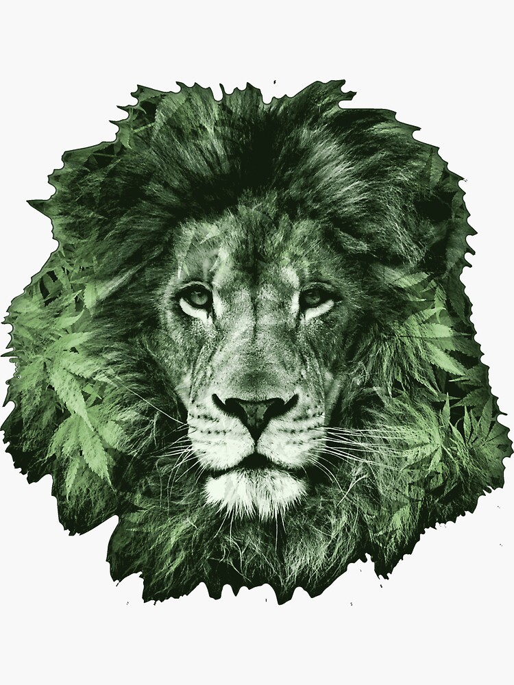 "Marijuana Lion" Sticker for Sale by LemonRindDesign | Redbubble