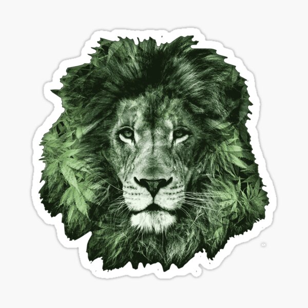 "Marijuana Lion" Sticker for Sale by LemonRindDesign | Redbubble