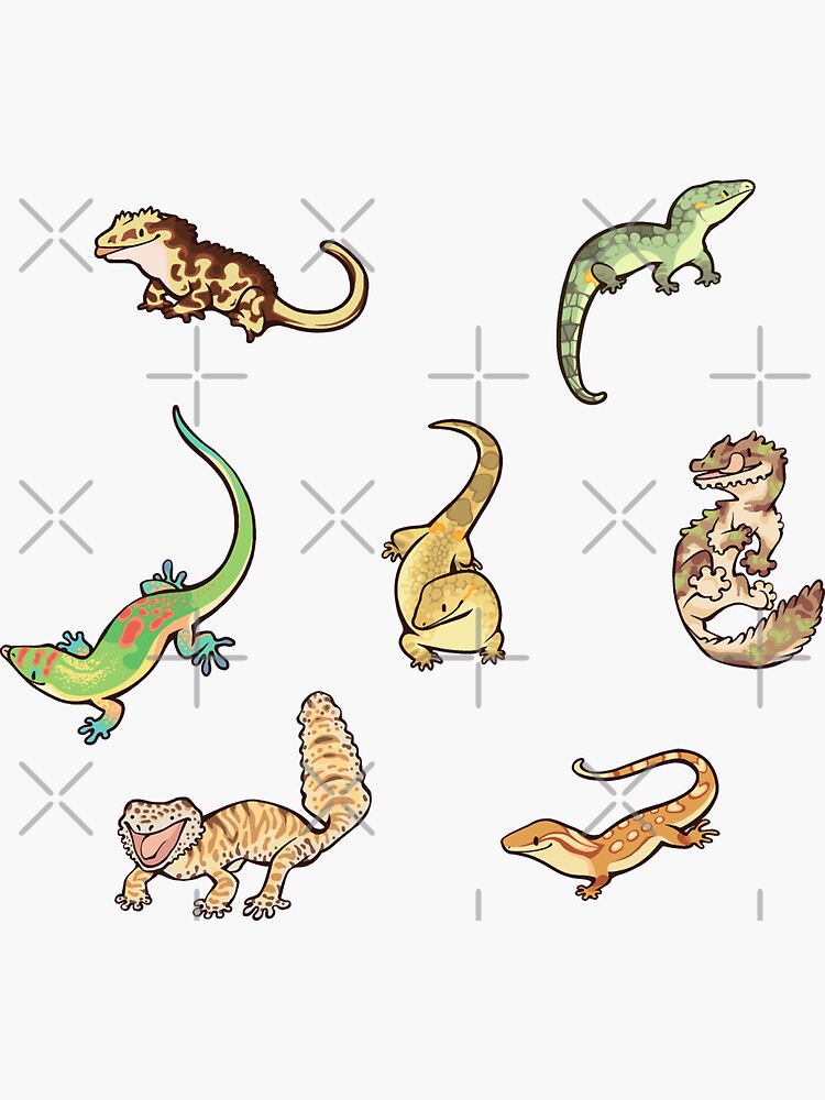 "Gecko sticker batch the second" Sticker for Sale by Colordrilos ...
