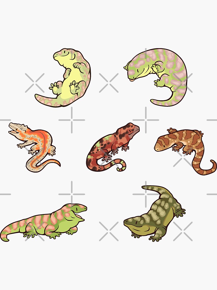 "Gecko sticker batch the third" Sticker for Sale by Colordrilos | Redbubble