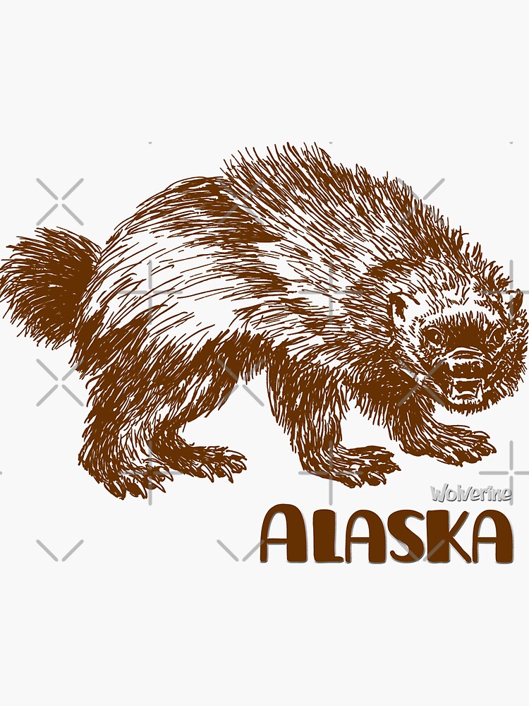 Pegatina «Dibujo de Wolverine, Alaska» de AlaskaExtreme | Redbubble
