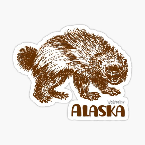 Pegatina «Dibujo de Wolverine, Alaska» de AlaskaExtreme | Redbubble