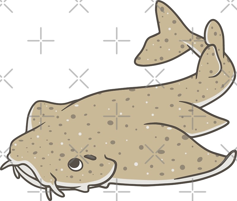 "Angel shark" by Jen Richards | Redbubble