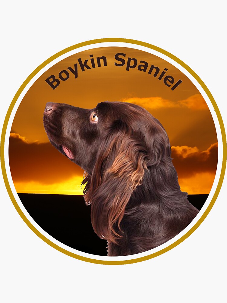 "Boykin Spaniel Dog" Sticker for Sale by rsparksa | Redbubble