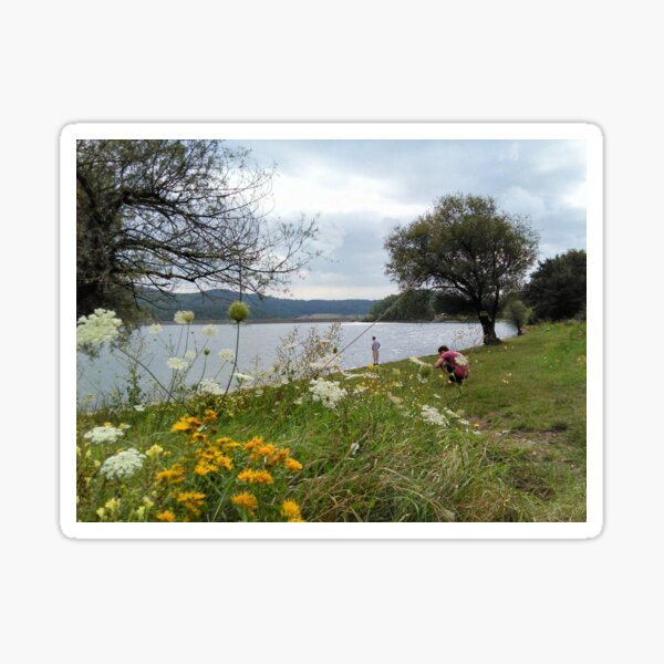 "Lake Bor (Borsko jezero)" Sticker by beleja | Redbubble