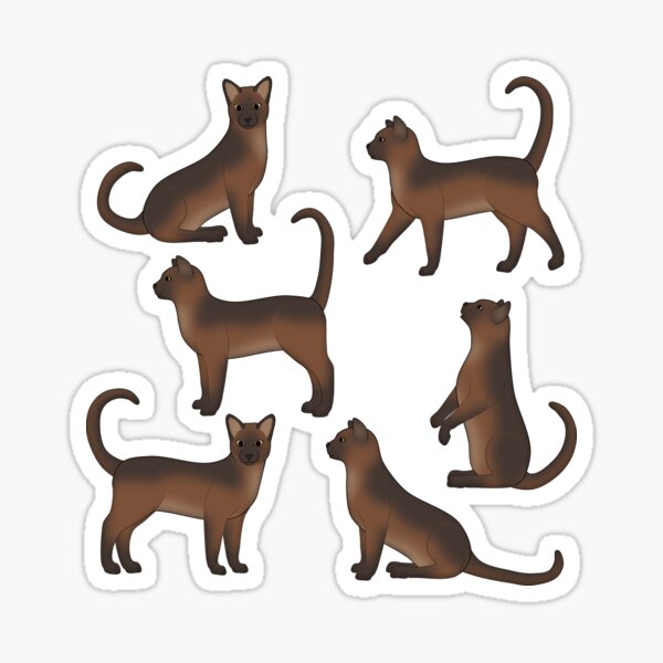 "Burmese cat" Sticker by schnuppadoo | Redbubble