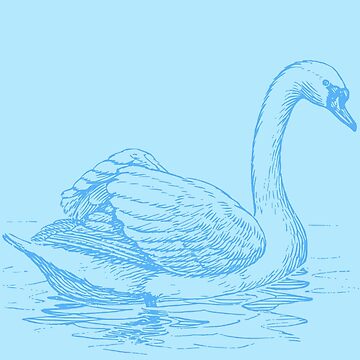 "Trumpeter Swan Drawing, Alaska" Art Print for Sale by AlaskaExtreme ...