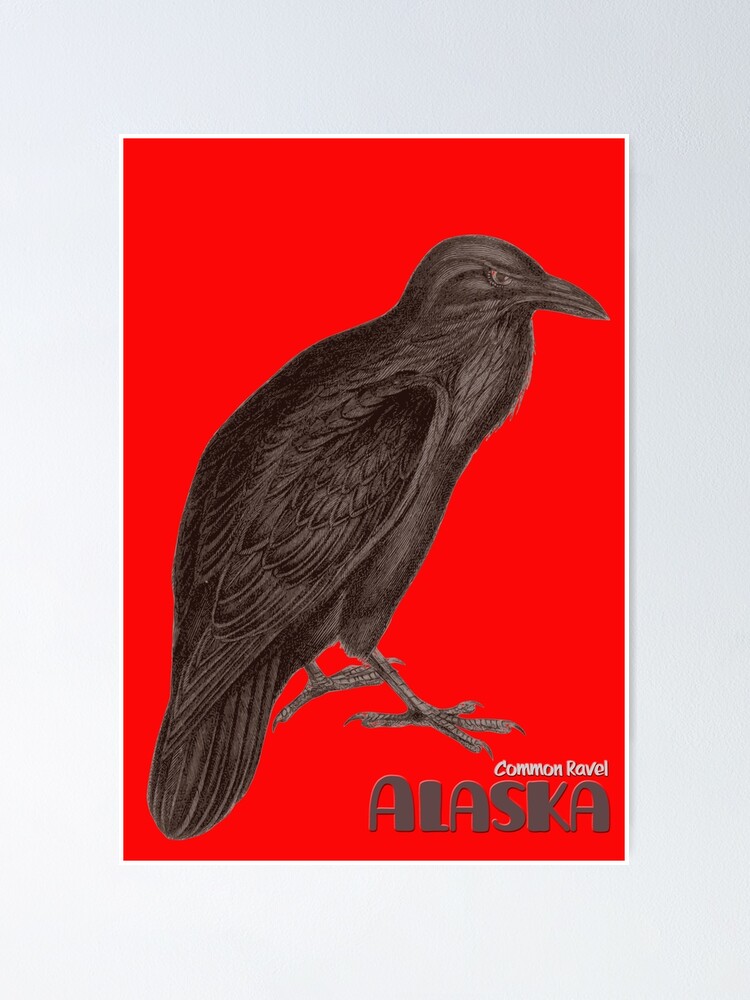 "Raven, Alaska" Poster by AlaskaExtreme | Redbubble