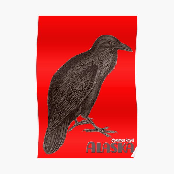 "Raven, Alaska" Poster by AlaskaExtreme | Redbubble
