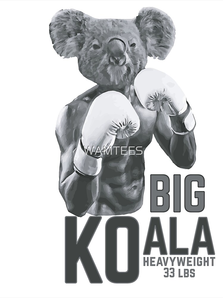 "Koala boxing" Framed Art Print for Sale by WAMTEES | Redbubble