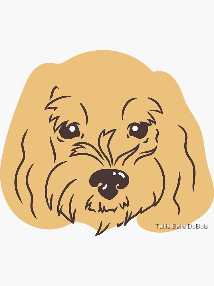 "Cockapoo" Sticker by talliebelle | Redbubble