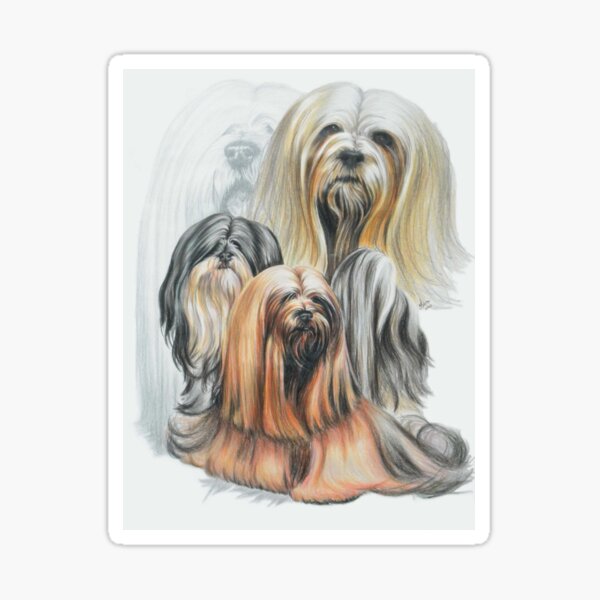 "Lhasa Apso Revamp" Sticker for Sale by BarbBarcikKeith | Redbubble