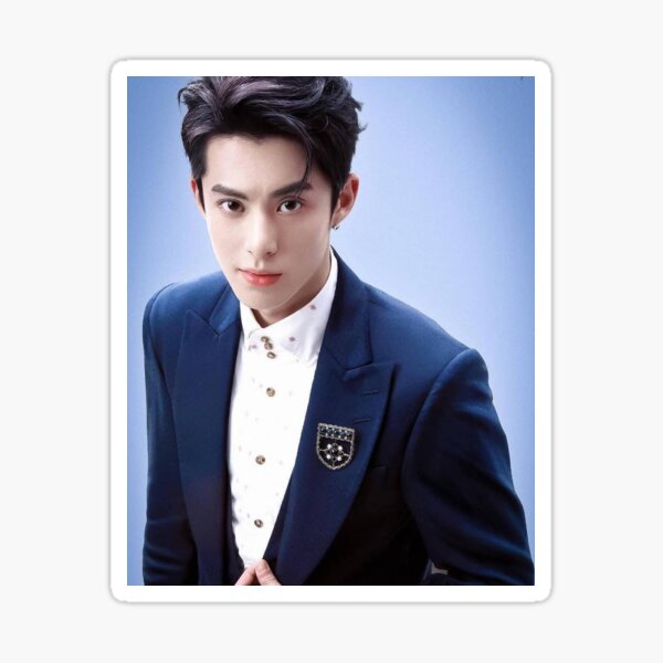 Dylan Wang Stickers | Redbubble