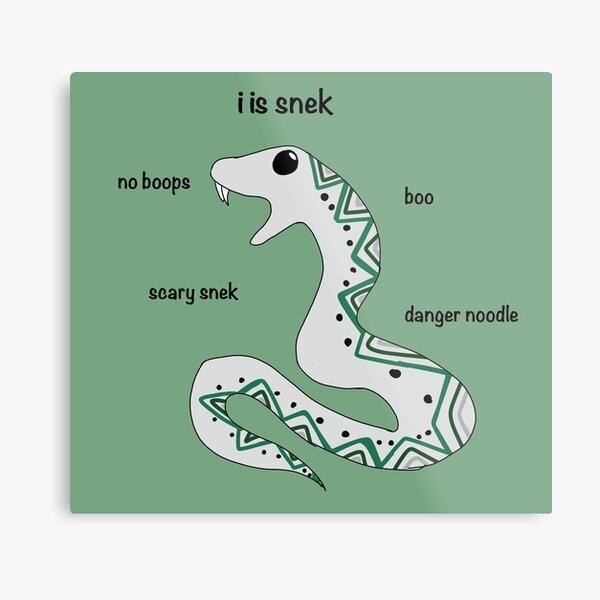 Snek Metal Prints | Redbubble