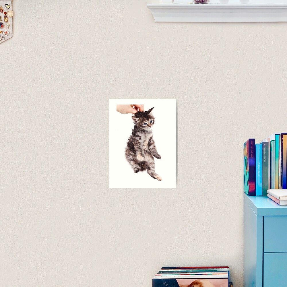 "kitten held by scruff" Art Print for Sale by utekhina | Redbubble