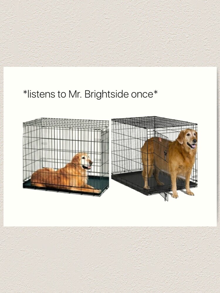 "Mr Brightside Meme" Art Print for Sale by Retro51536 | Redbubble