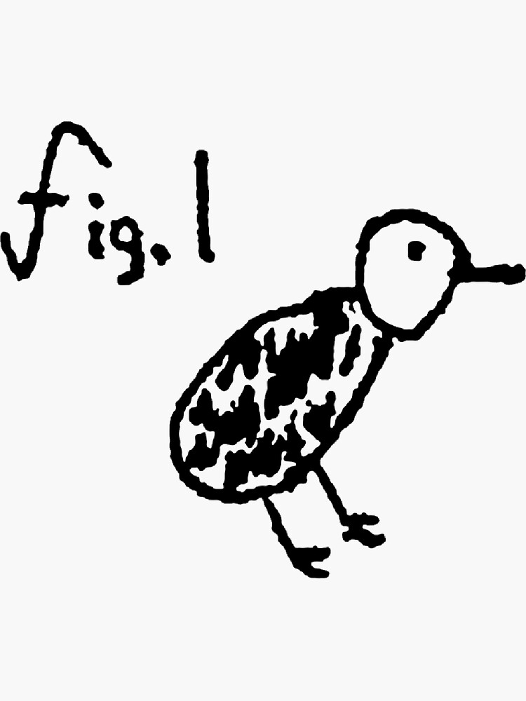 "Badly Drawn Kiwi Bird" Sticker by akoontz21 | Redbubble