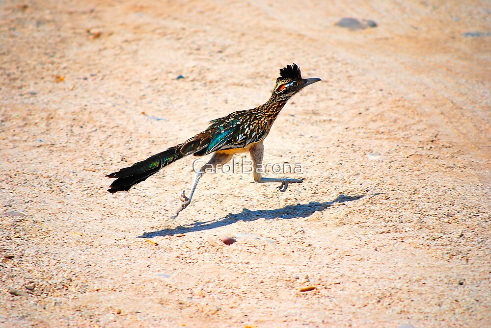 "Beeeeep, Beeeep" by Carol Barona | Redbubble