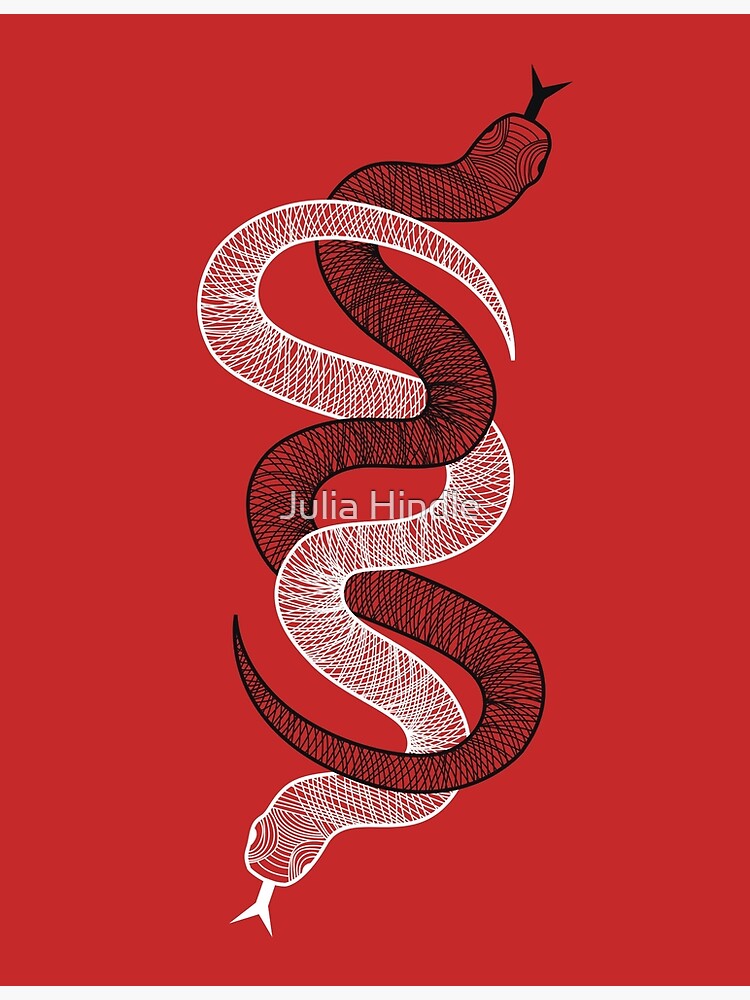 "Intertwined Snakes Linework" Poster for Sale by juliadraws | Redbubble