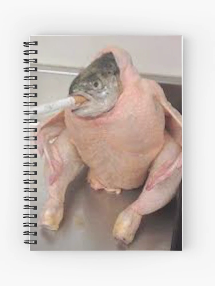 Cursed Images Of Fish FISH! : R/StanleyMOV