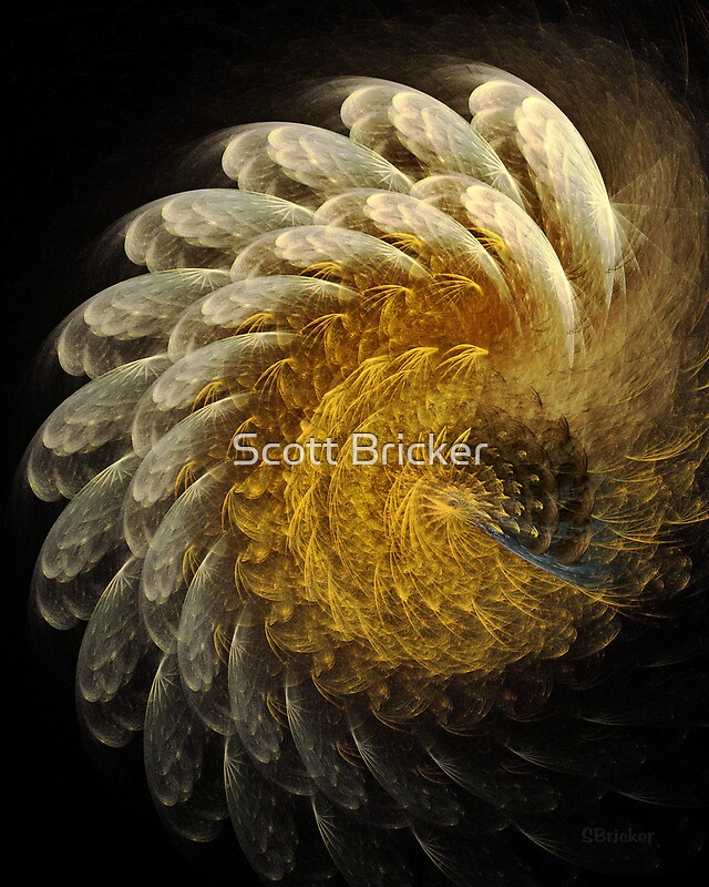 "'Feather Dance'" by Scott Bricker | Redbubble