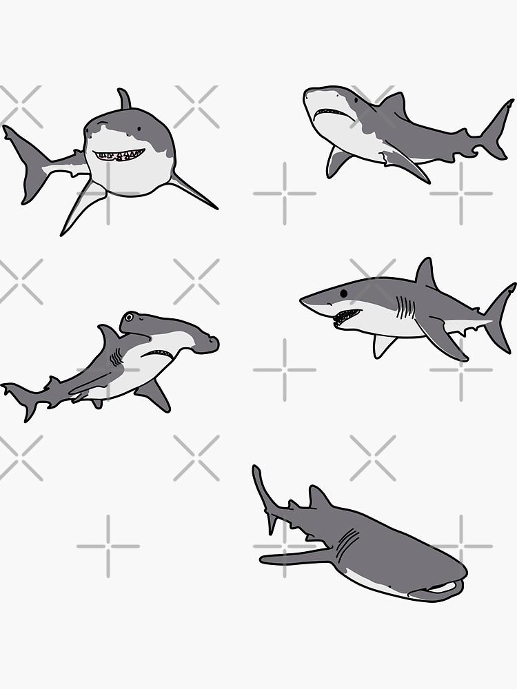 "shark pack" Sticker for Sale by daisy-sock | Redbubble