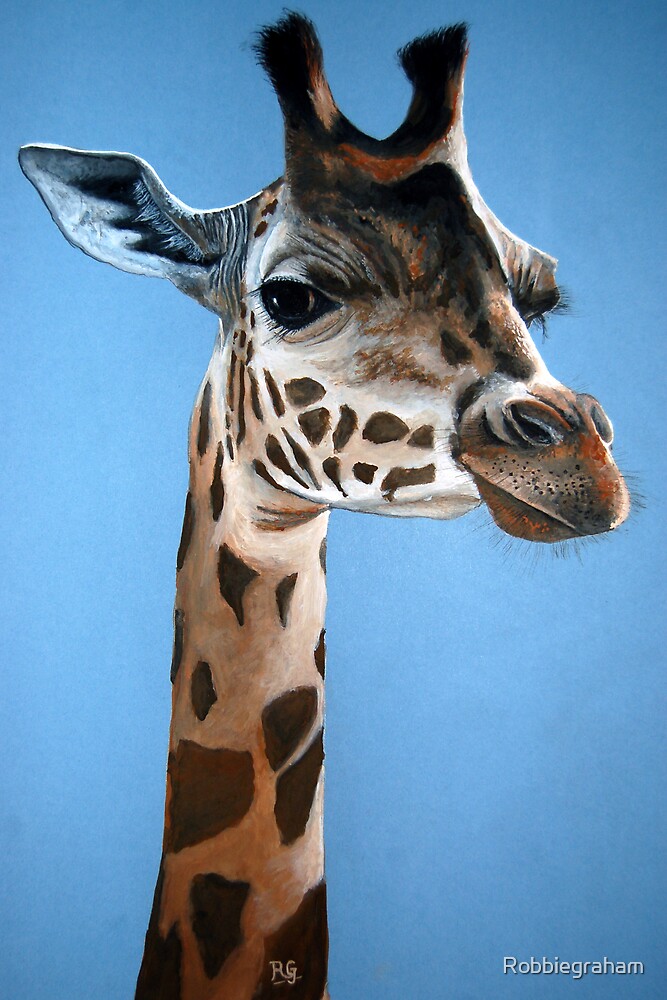 "Giraffe portrait" by Robbiegraham | Redbubble