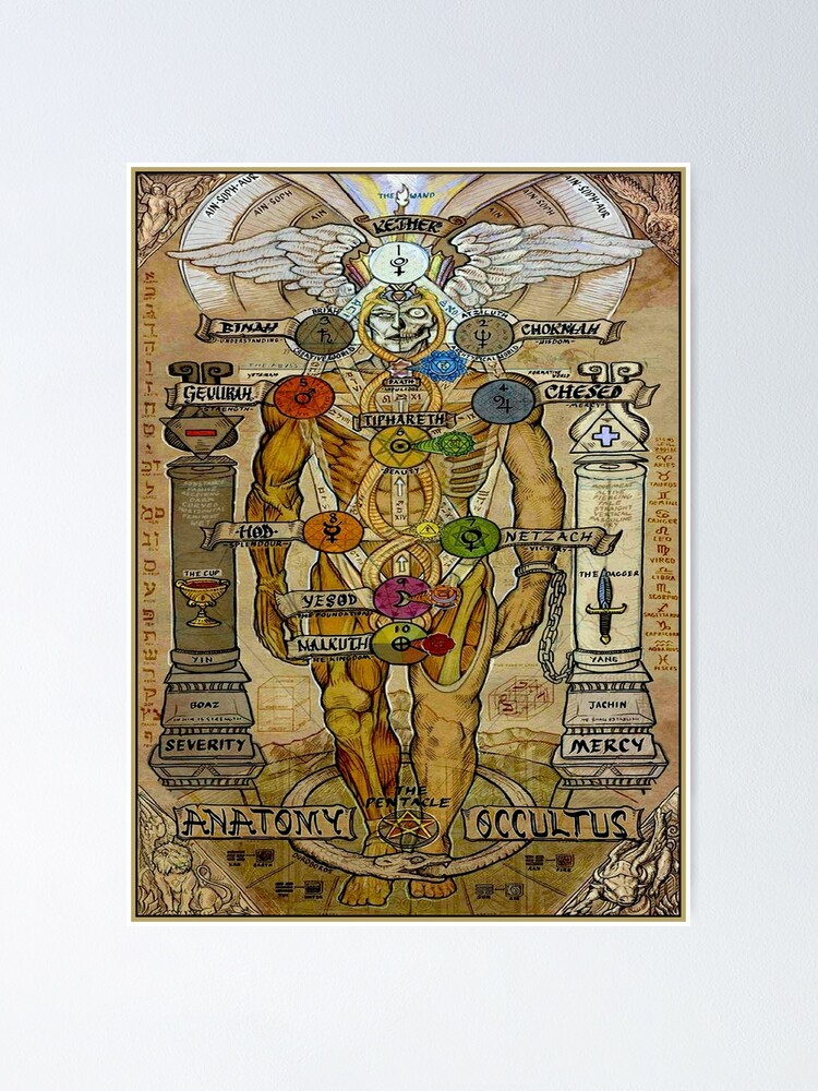 "ANATOMY OCCULTUS : Vintage Abstract Body Print" Poster for Sale by ...