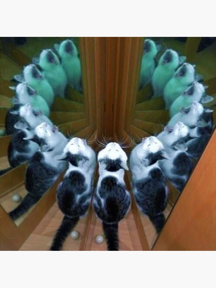 "Infinite Cat" Sticker for Sale by PapaKnox | Redbubble