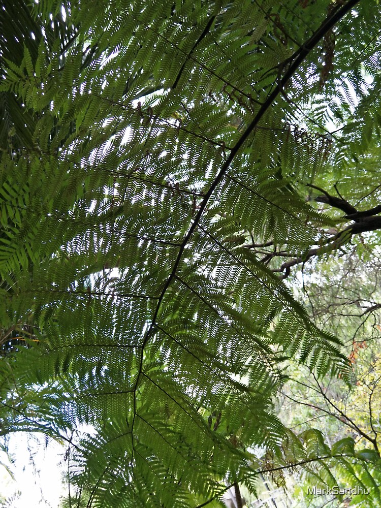 "Forest Canopy" Sticker for Sale by MarkSandhu | Redbubble