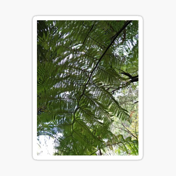 "Forest Canopy" Sticker for Sale by MarkSandhu | Redbubble