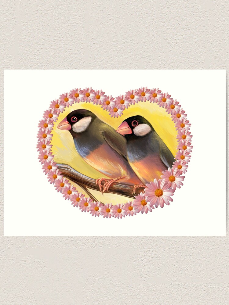 "Java Sparrow finches realistic painting" Art Print by lifewithbirds ...
