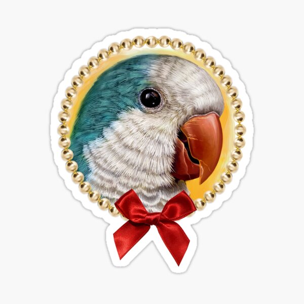 Blue Quaker Parrot Clip Art