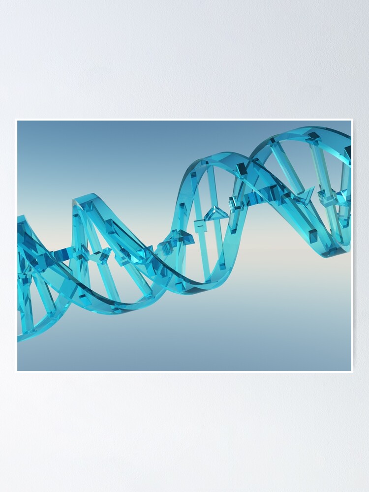 "DNA Strand" Poster by rolffimages | Redbubble